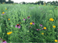 Home - La Porte County Parks Department