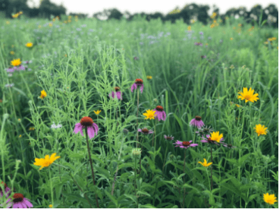Home - La Porte County Parks Department