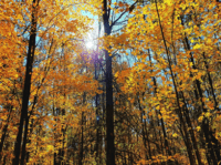 Home - La Porte County Parks Department